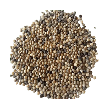 Gum King – Empowering Worlds Finest Gum, Naturally!